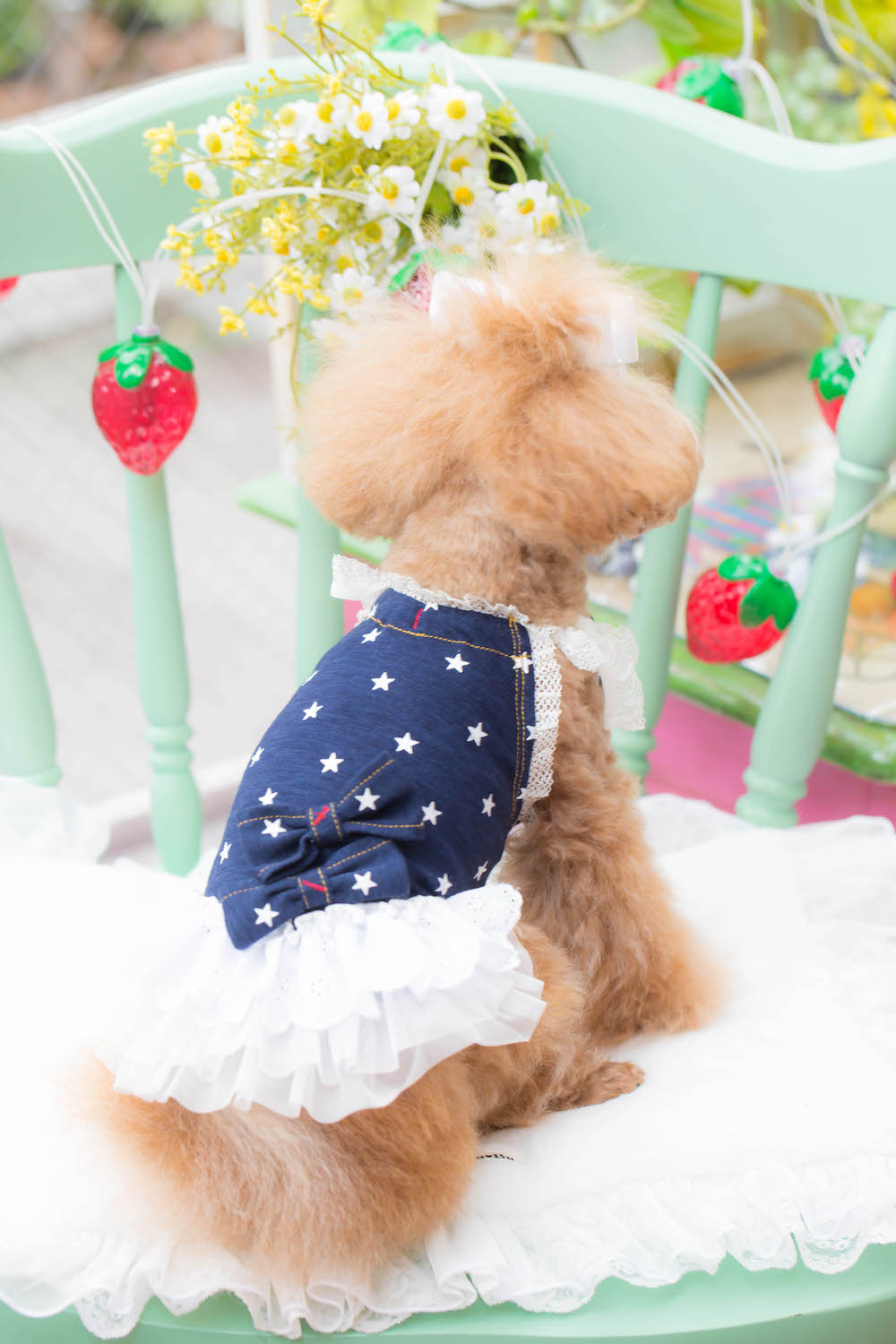 22GC-036 STAR Camisole｜ドッグブティック・ブルブブ