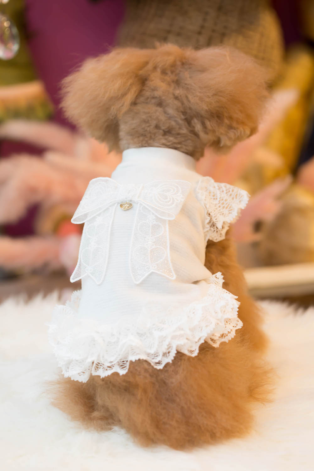 22GC-061 スウィングリボンキャミ｜ドッグブティック・ブルブブ