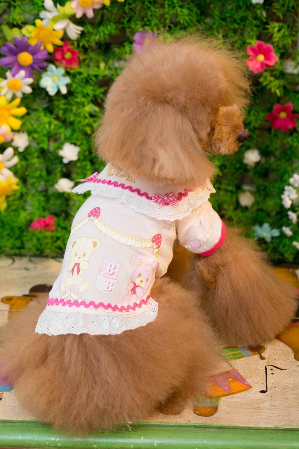 23GC-005 くまうさセーラーTee｜ドッグブティック・ブルブブ