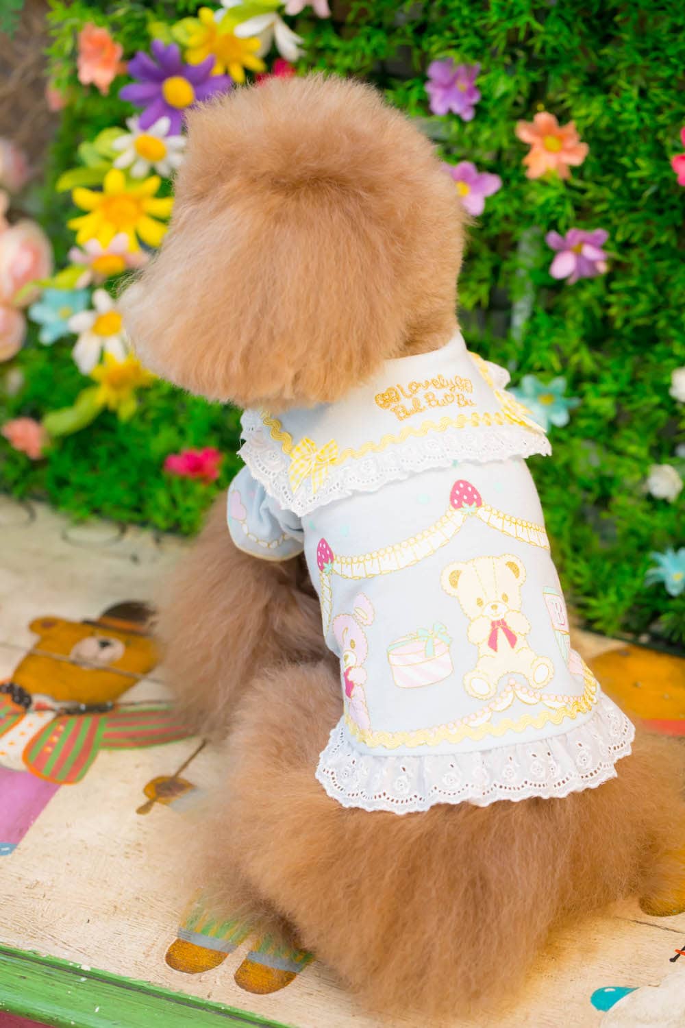 23GC-005 くまうさセーラーTee｜ドッグブティック・ブルブブ