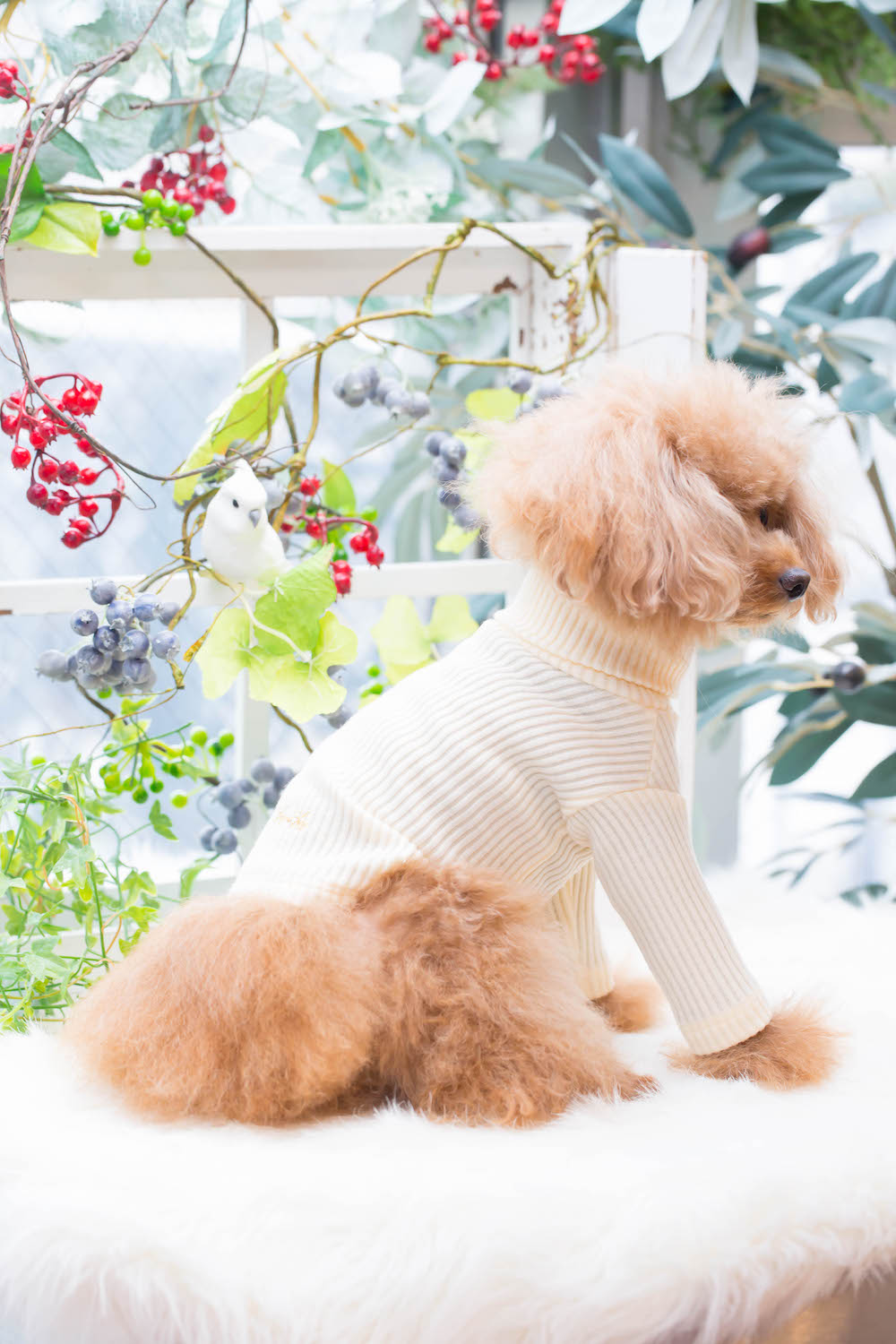 23GC-021-L リブ長袖タートルネック｜ドッグブティック・ブルブブ