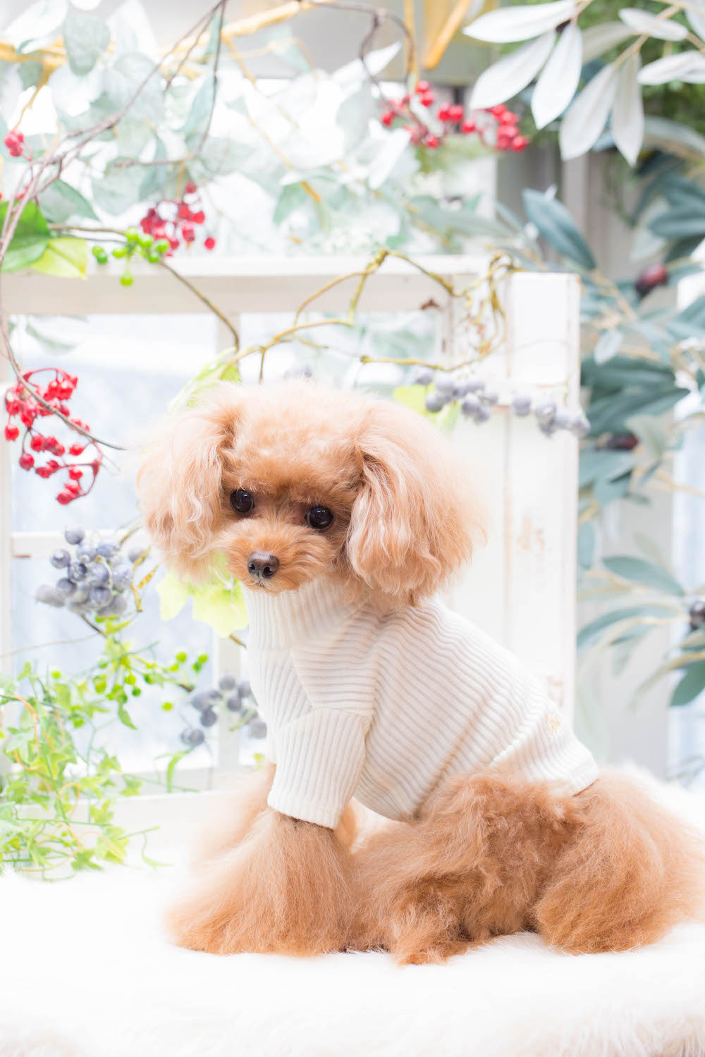 23GC-021-L リブ長袖タートルネック｜ドッグブティック・ブルブブ