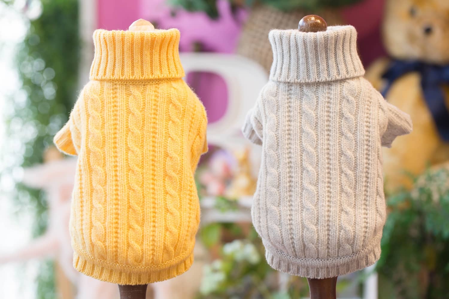 23GC-029 縄柄ニットタートル｜ドッグブティック・ブルブブ