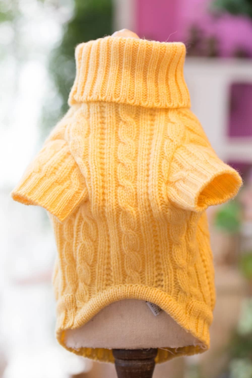 23GC-029 縄柄ニットタートル｜ドッグブティック・ブルブブ
