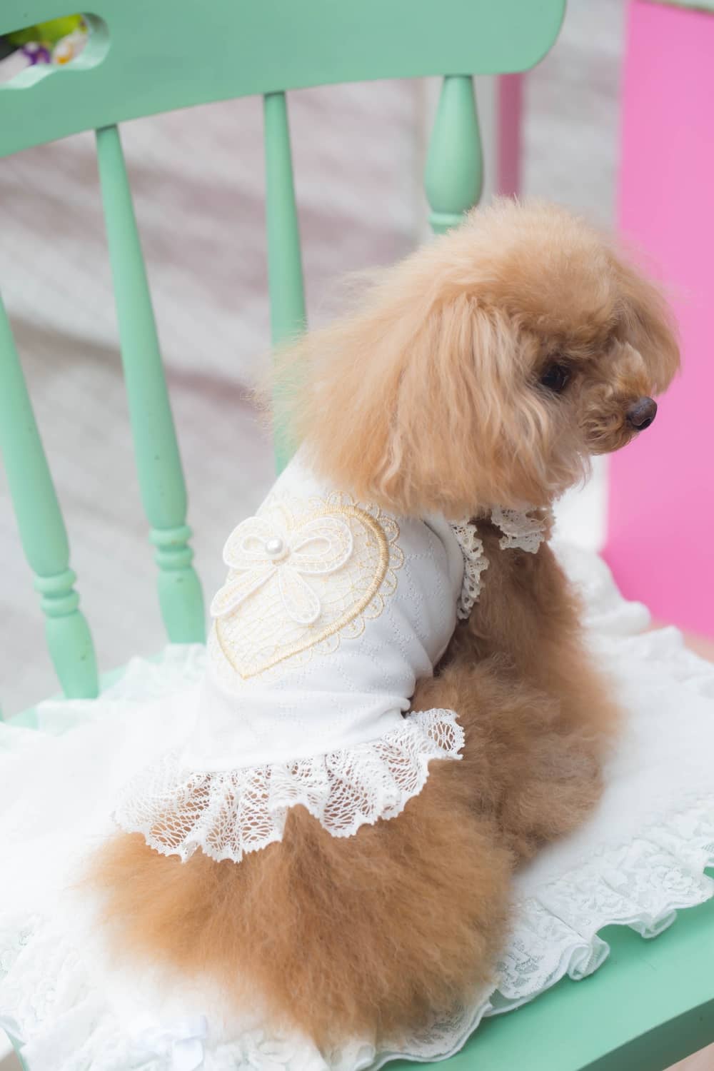 24GC-044 ぷくぷくハートキャミ｜ドッグブティック・ブルブブ